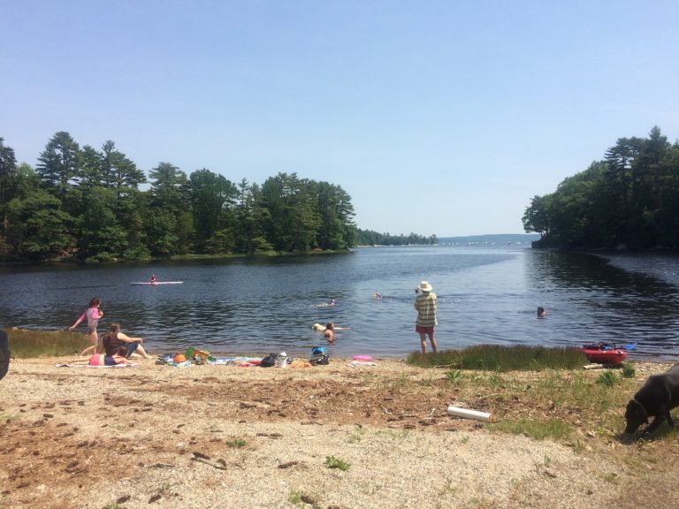 Peters Brook & Penny’s Preserve | Blue Hill Heritage Trust