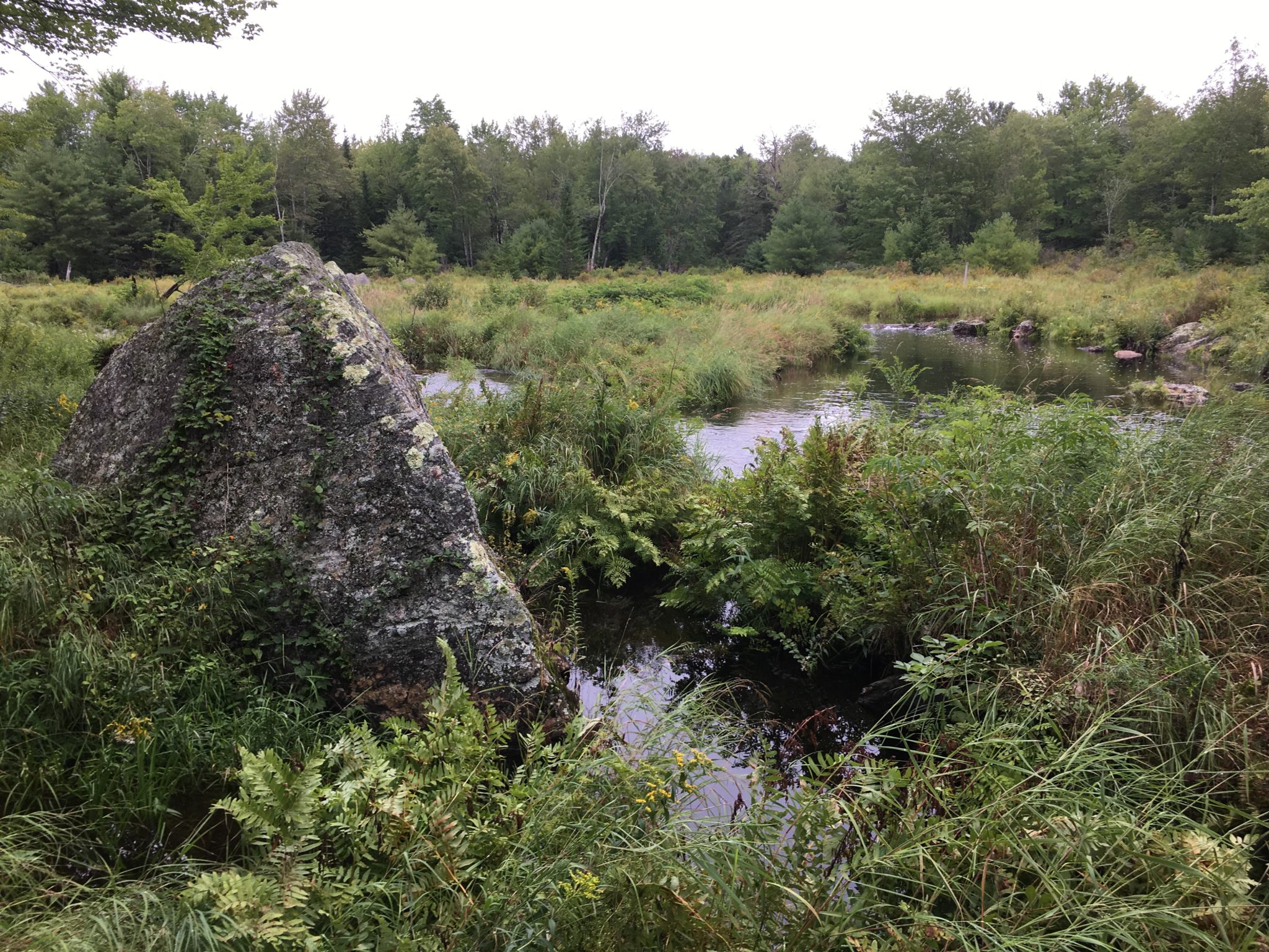 BHHT Hiking Challenge 2020: Beautiful Boulders! | Blue Hill Heritage Trust