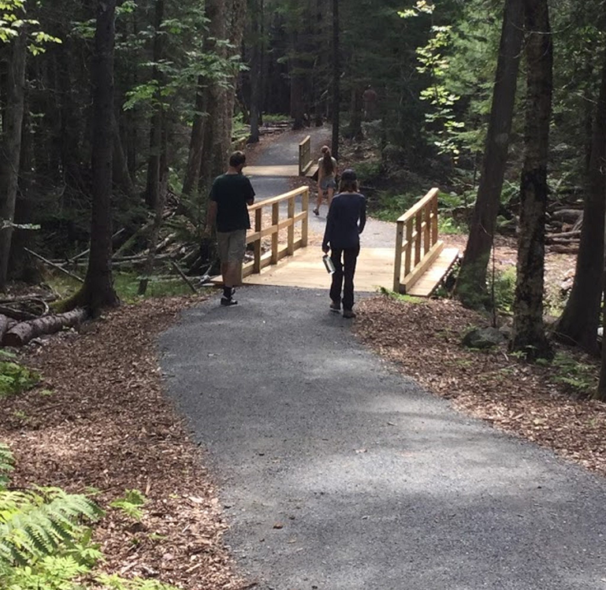 All Trails by Town | Blue Hill Heritage Trust