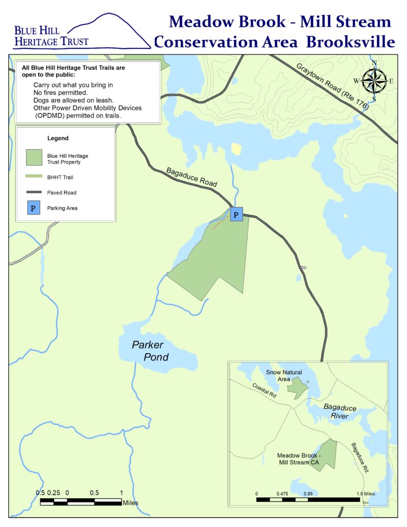 Meadow Brook Mill Stream Conservation Area | Blue Hill Heritage Trust