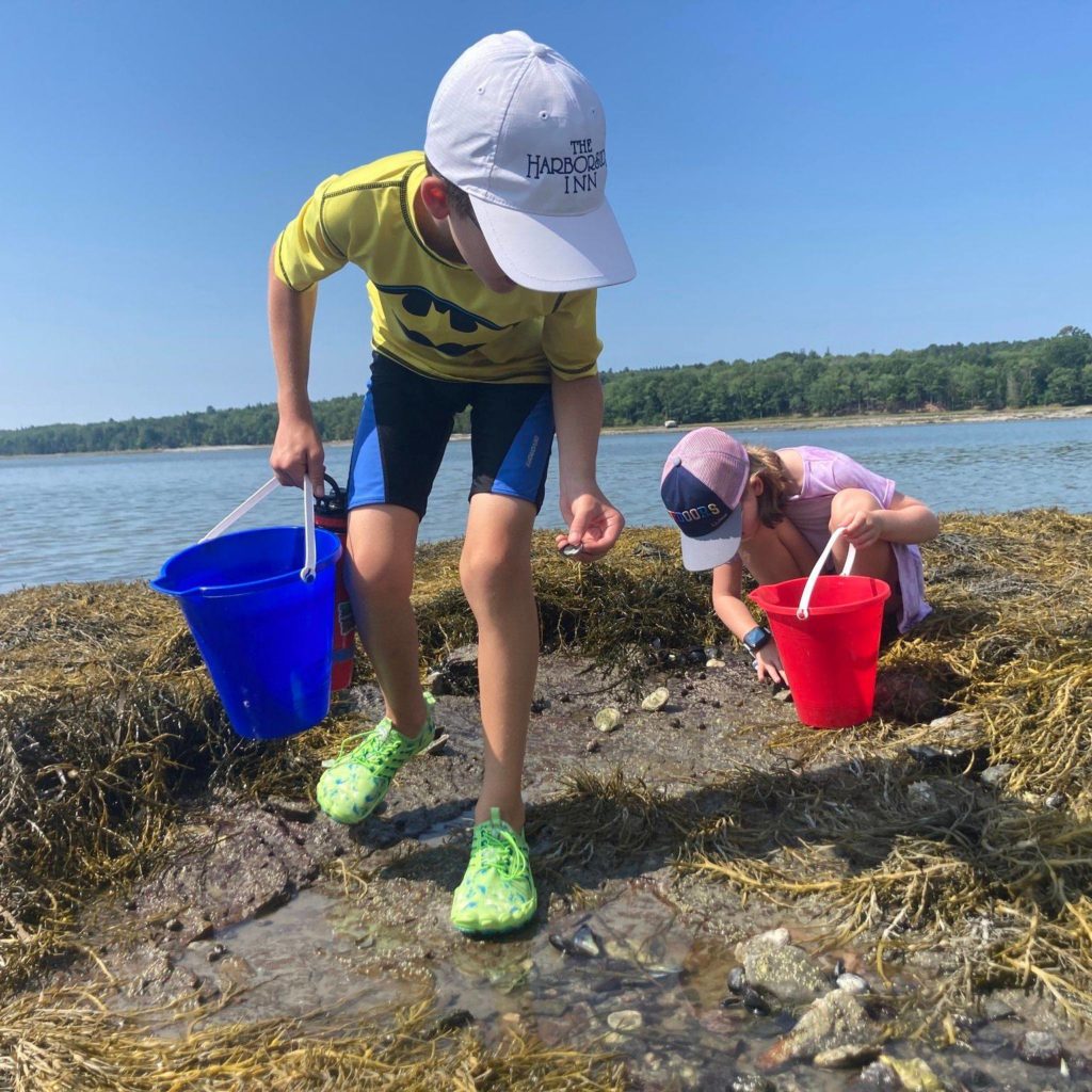 School Field Trips | Blue Hill Heritage Trust