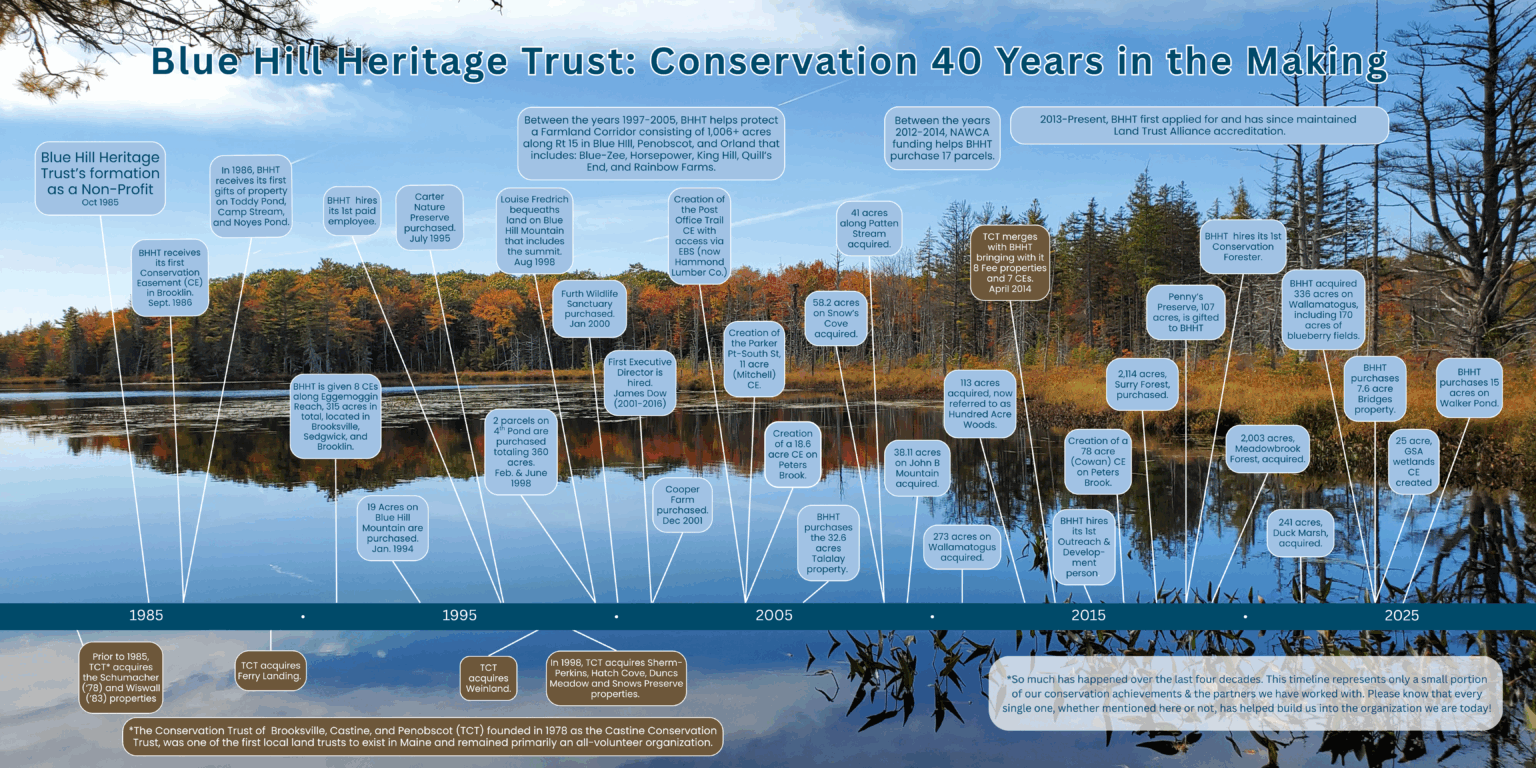 Celebrating 40 Years of Conservation on the Blue Hill Peninsula | Blue ...